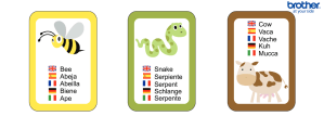 Où trouver des flashcards à imprimer ? – Bonjour FLE